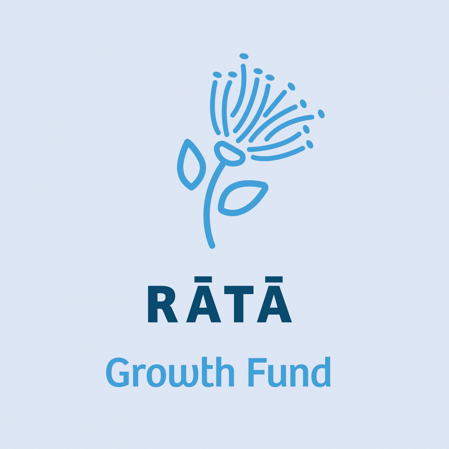 About Us – Whai Rawa – Te Rūnanga o Ngāi Tahu