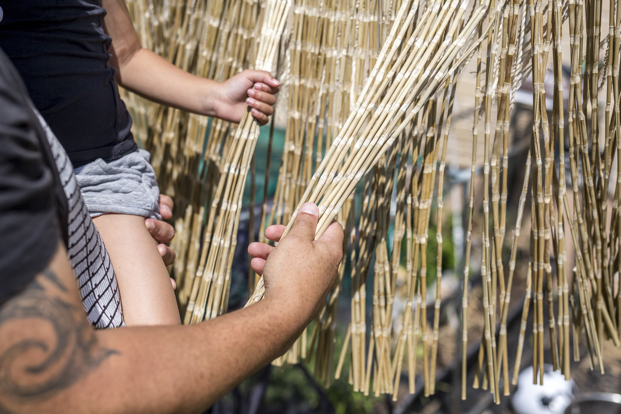Glossary Reo Māori – Whai Rawa – Te Rūnanga o Ngāi Tahu